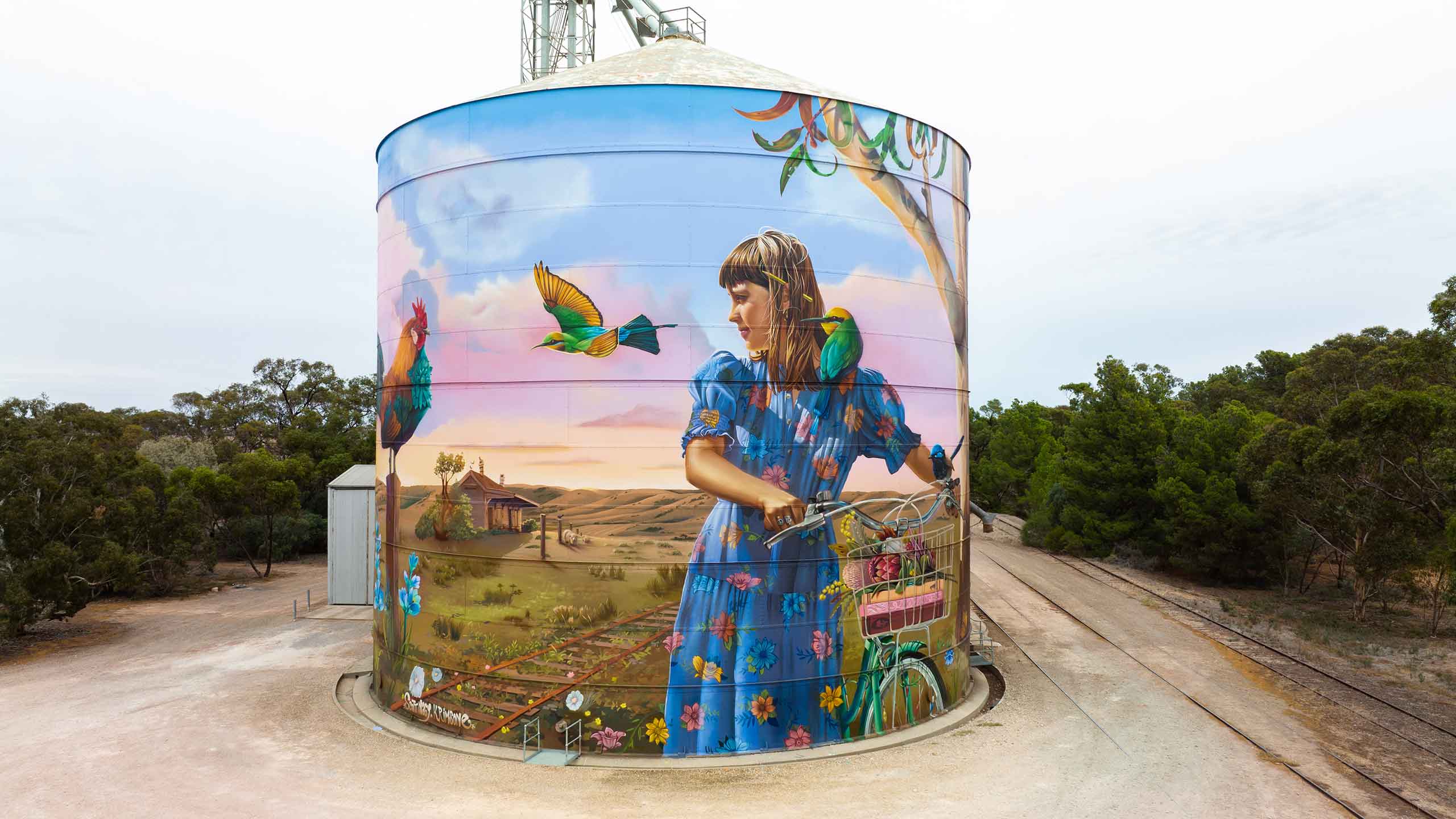 Art - Bute Silo Art, Galleries, murals and art | TOP OF THE YORKE